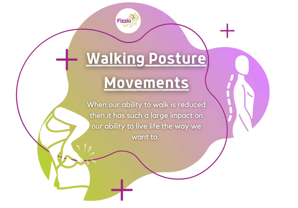 Walking Posture Movements - Fizzio For Life